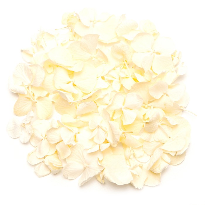 Ivory Hydrangea Petals