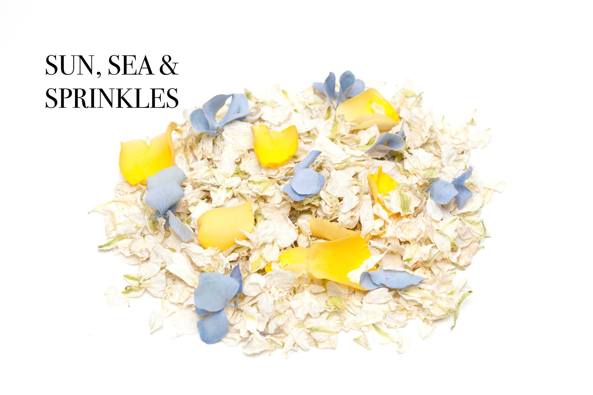 Natural Biodegradable Wedding Confetti