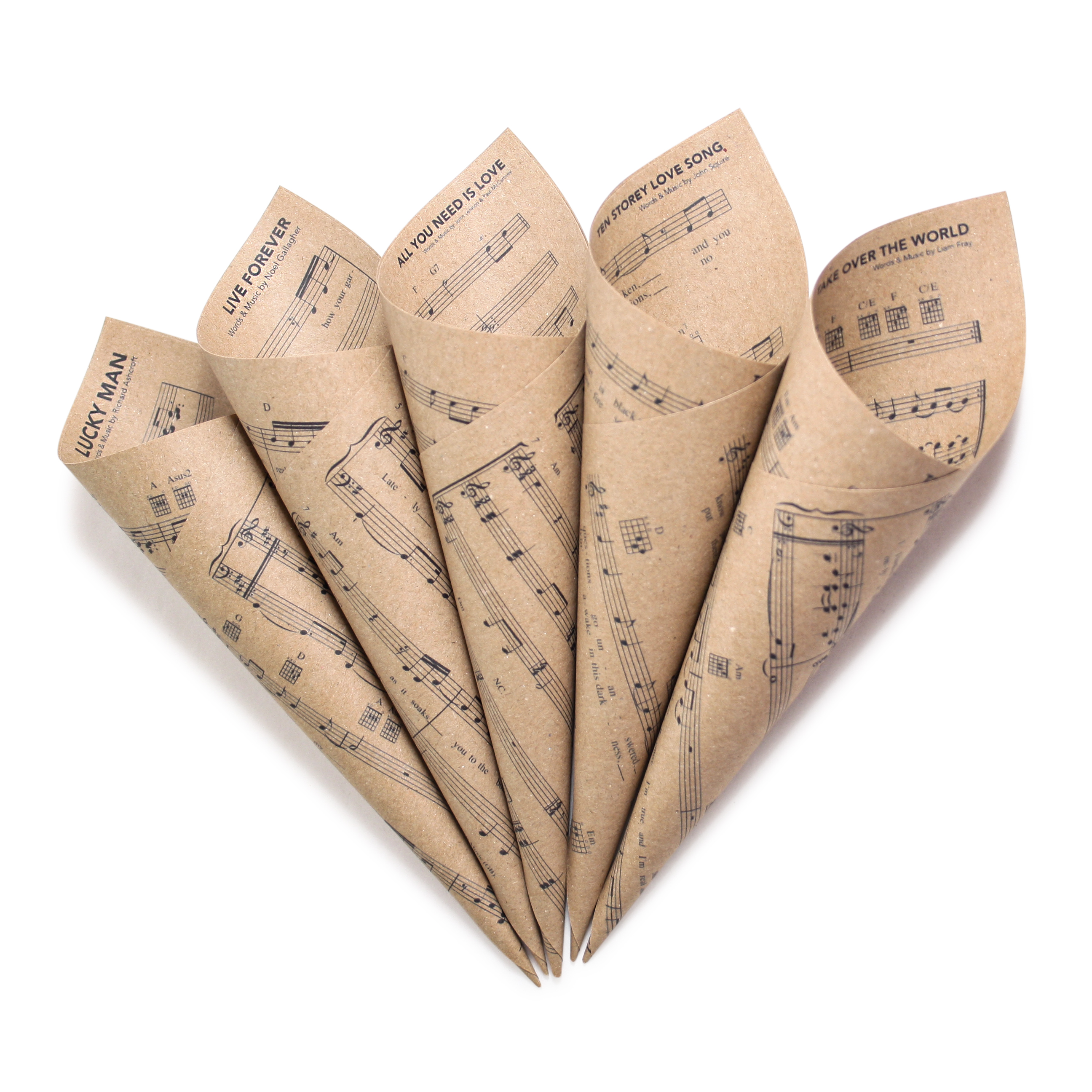 Bespoke Wedding Confetti Cones Music Festival Inspired